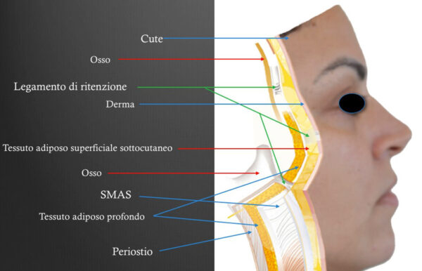 RIS – Un corretto approccio dell’Odontoiatra all’anatossina botulinica ...